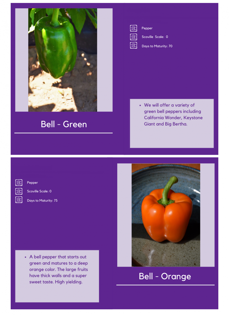 Ricks Garden Center | 2024 Pepper Book