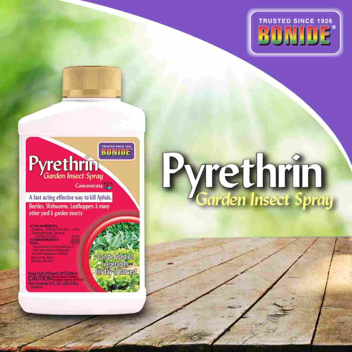 Ricks Garden Center Bonide Pyrethrin Garden Insect Spray Conc 8oz